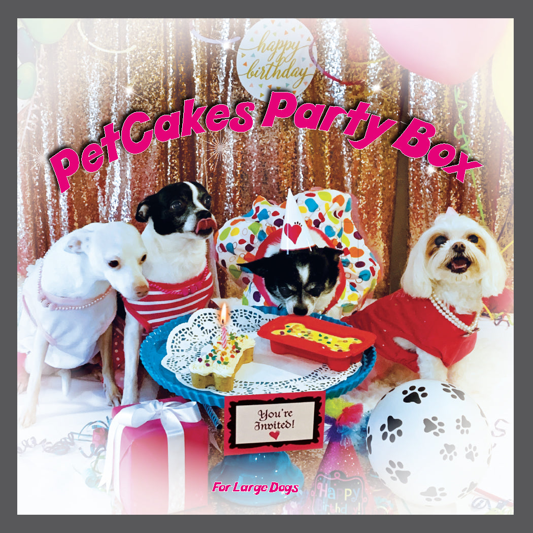 For Your Lovable Dog – PetCakes